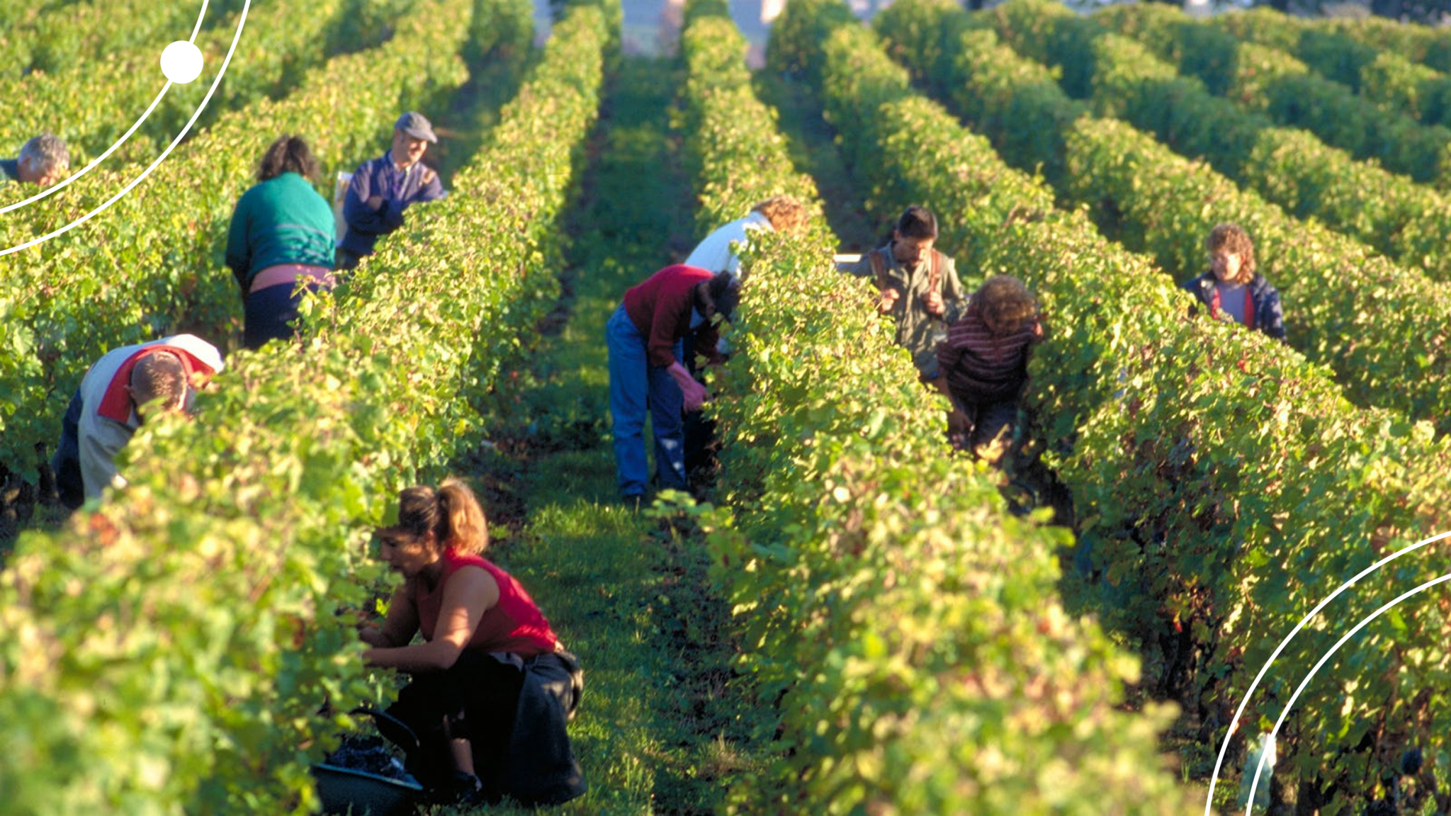 Honoring Farmworkers: Celebrating the Legacy of César Chávez and ...